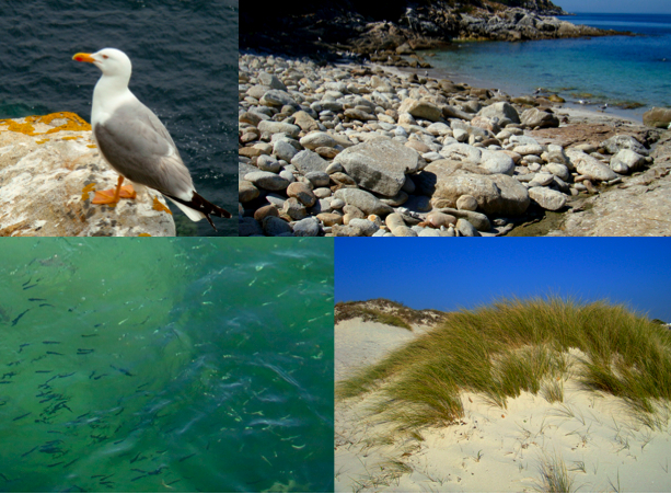 Aguas Litorales Y Deciertos